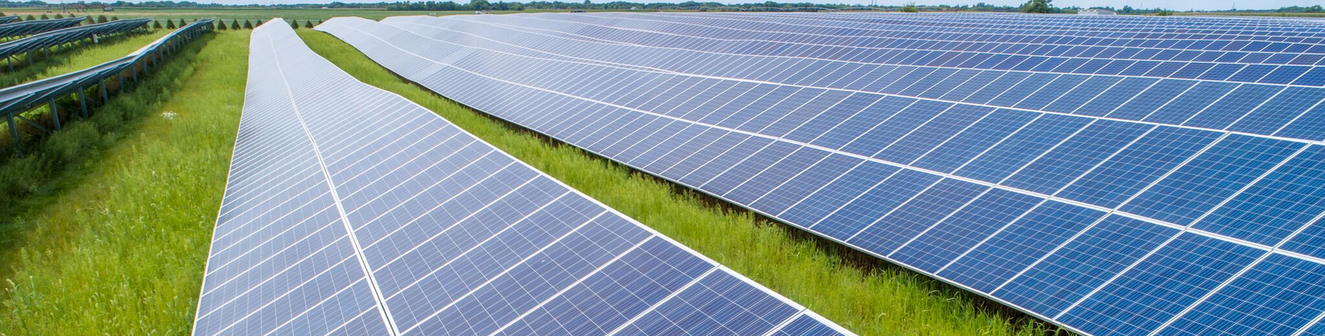 Meet Our Team | SolarStone Partners